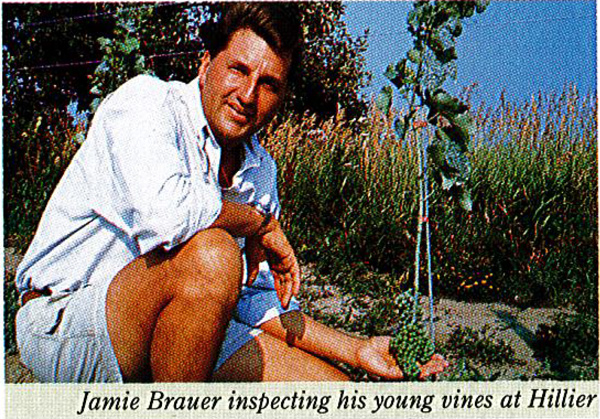 Brauer Homes - Vineyards - Prince Edward County, Ontario, Canada